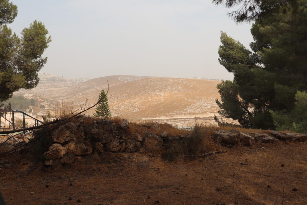 Bethlehem Shepherds Hill & Cave, Church of Nativity & Joppa – Visit His Land