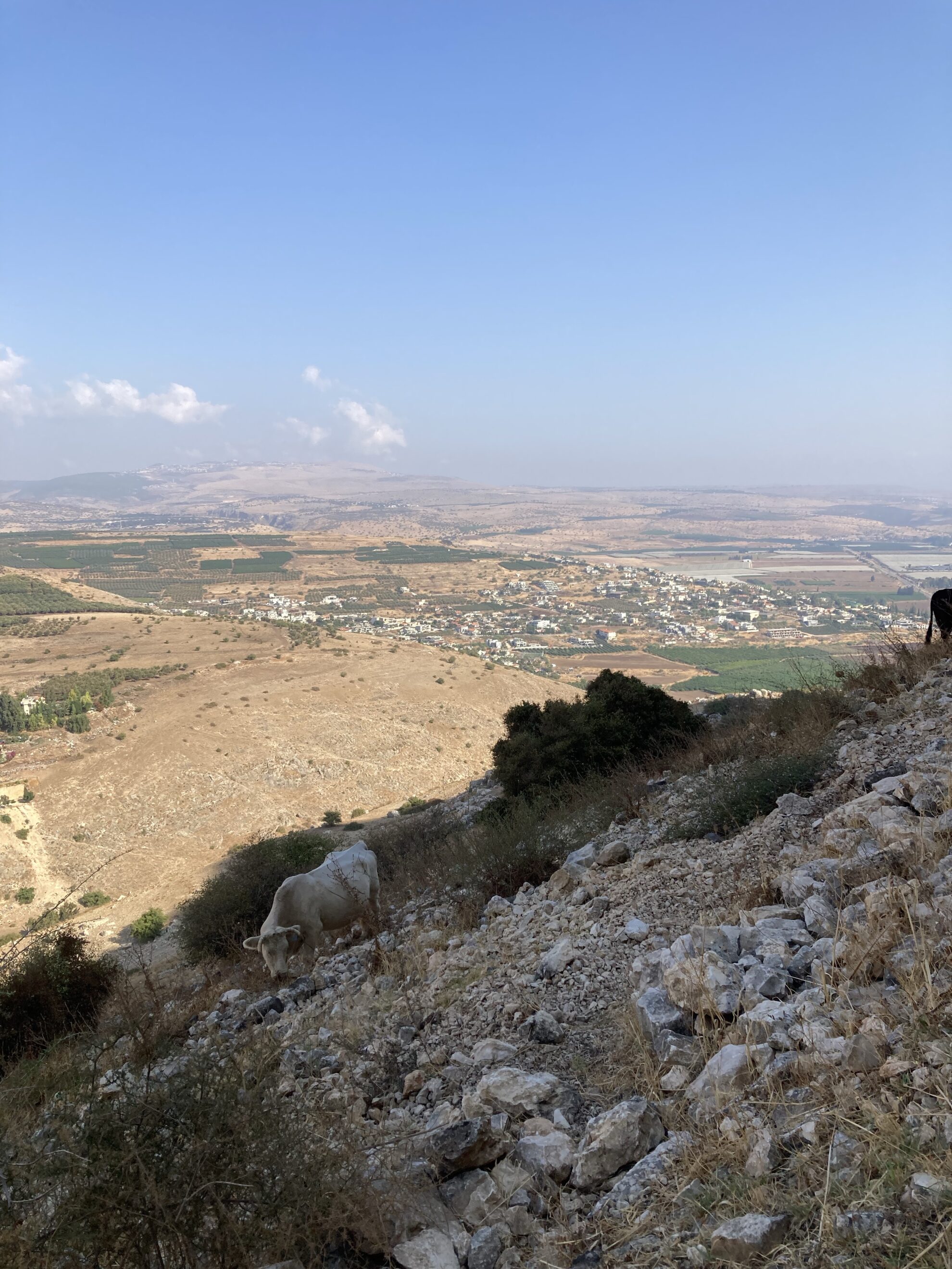 Day 6: Mount Arbel, Capernaum, Beit Tsaida, Magdala, Sea of Galilee ...